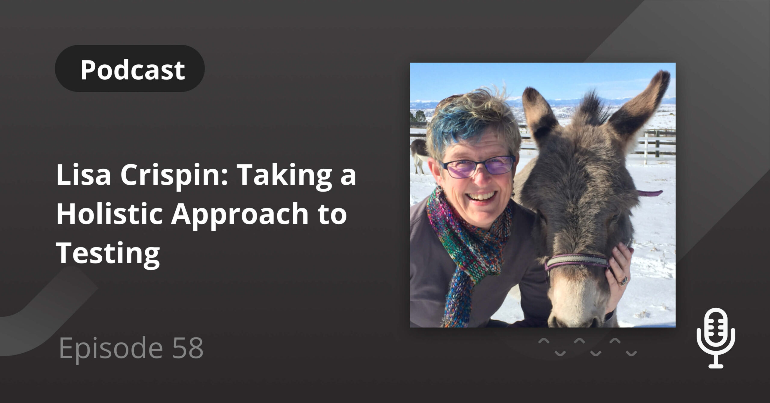 Lisa Crispin: Holistic Approach to Testing - Semaphore